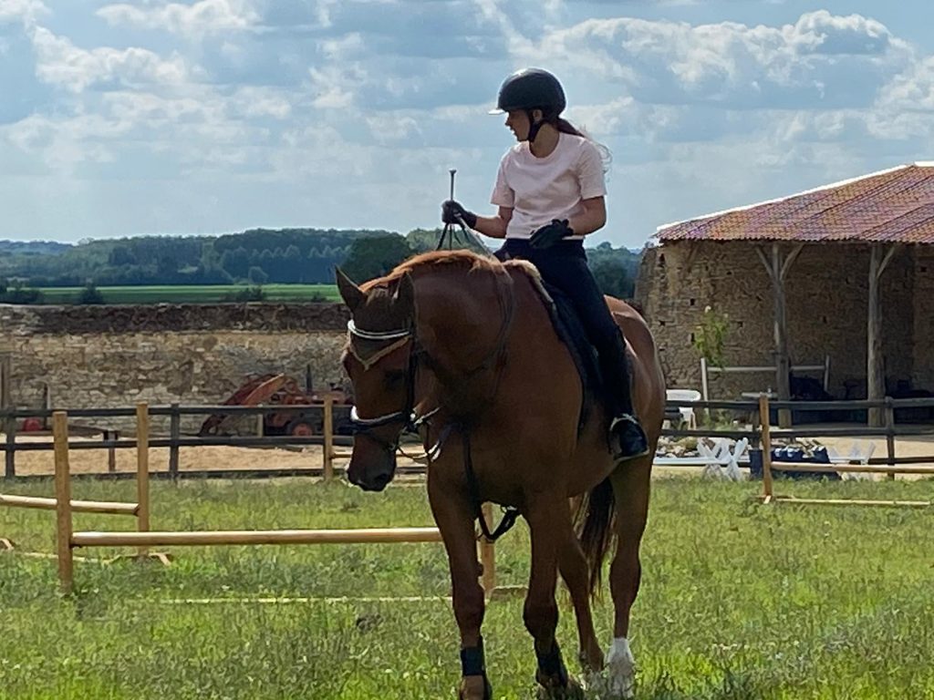 English & Riding - Equienglish